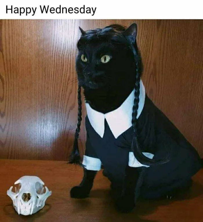 AHHHHHHHHHHHHHHHHH - 9GAG