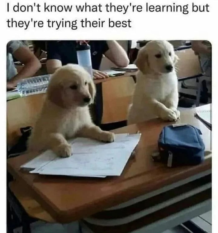 They are trying hard - 9GAG
