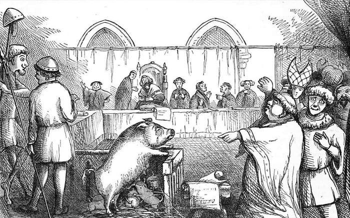 In 1386, a pig was executed in France - 9GAG