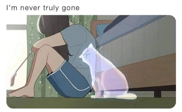 I miss my boy - 9GAG