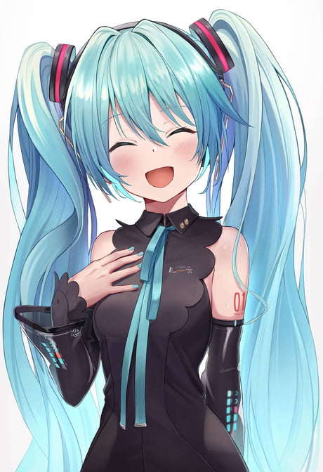 Hatsune Miku And Hagane Miku