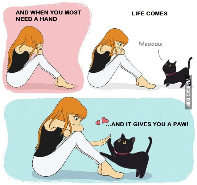 Yep, so true!! - 9GAG