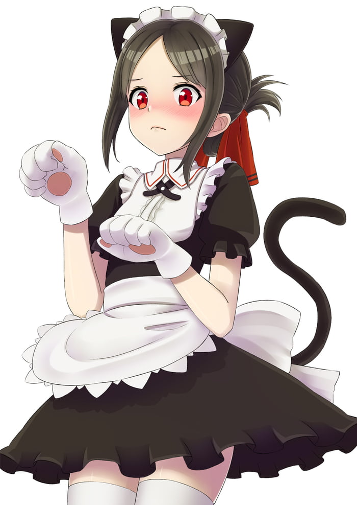 Neko maid - 9GAG