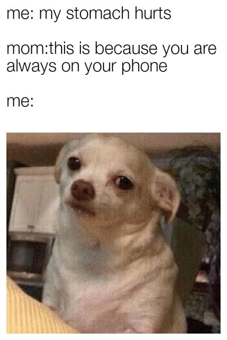 [Fun Time] Because You Are Always On Your Phone – U-Dictionary
