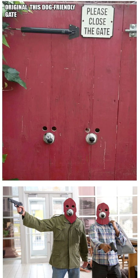 Doggo Robbery | Worth to watch