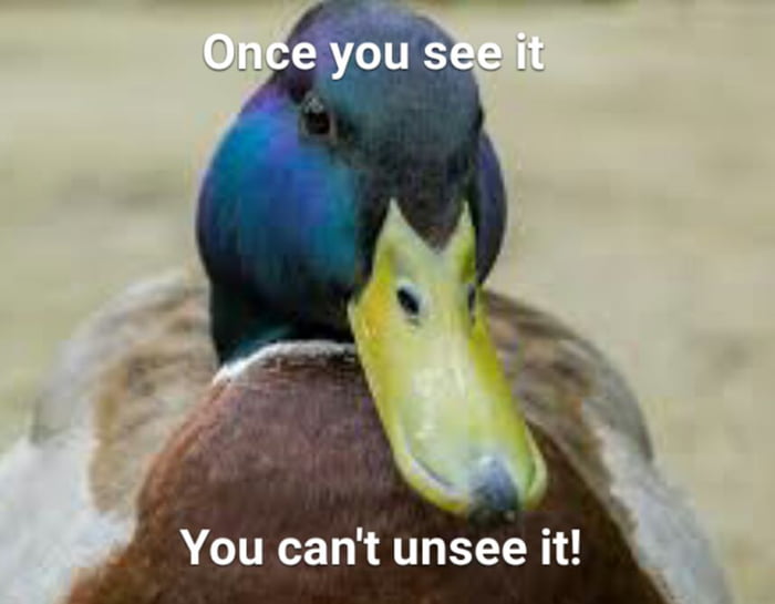 The duck's beak looks like a wolf's face! - 9GAG