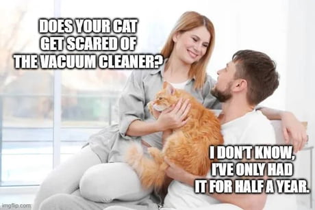 Memes About Vacuum Cleaners Vacuum Cleaner GIFs | Tenor