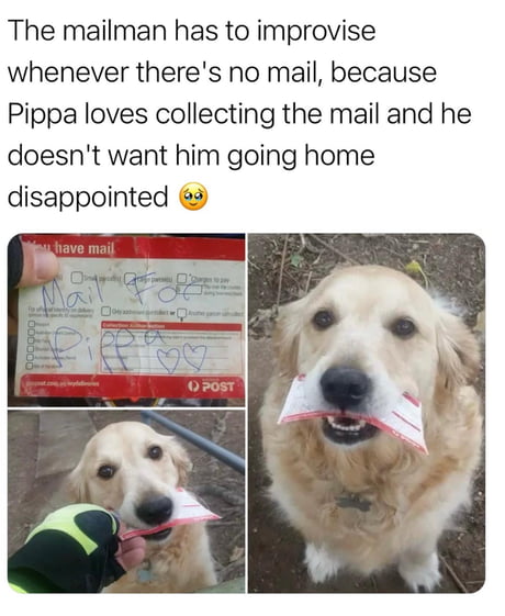 Aww Ja Meme Aww Memes & GIFs Imgflip