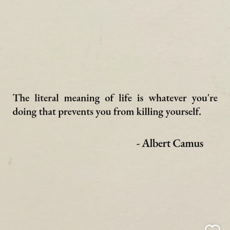 Best Funny camus Memes - 9GAG