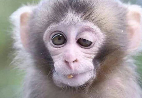 Best Funny redbull Memes - 9GAG