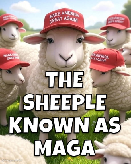 Best Funny sheeple Memes - 9GAG