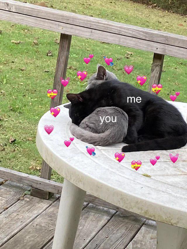 Send this to your person - 9GAG