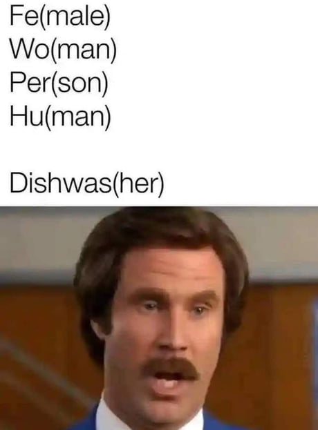 Woman Dishwasher Memes