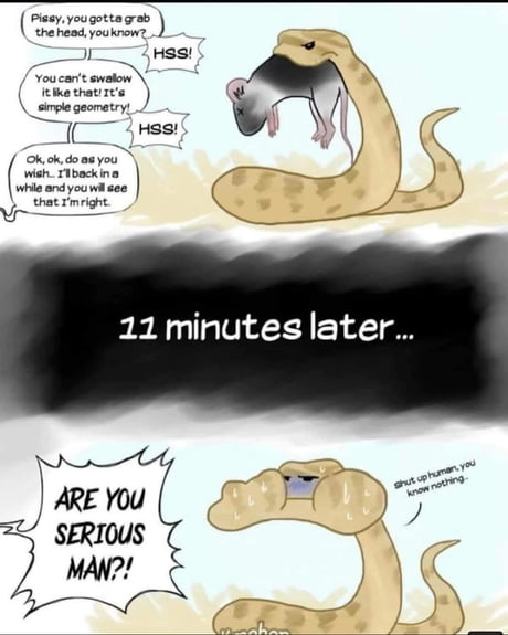 Snake Bye Memes