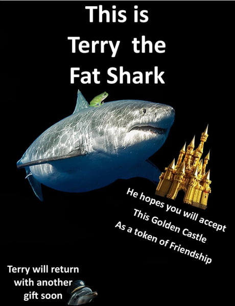 Best Funny shark Memes - 9GAG