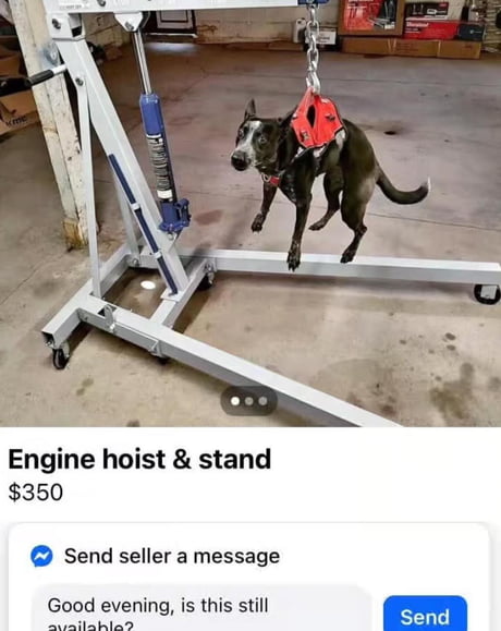Best Funny hoist Memes - 9GAG