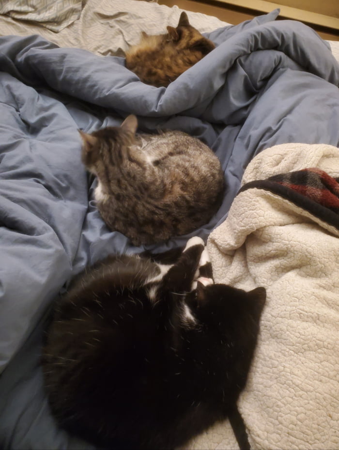 The holy trinity - 9GAG