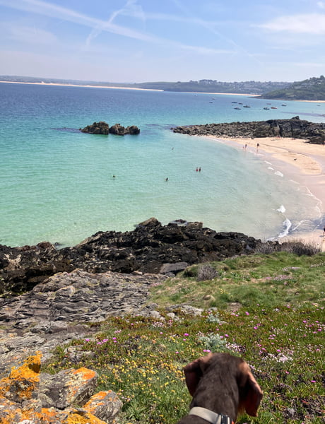 Best Funny cornwall Memes - 9GAG