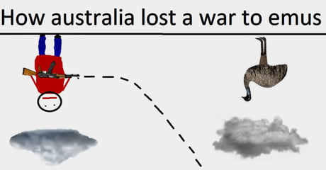 Best Funny emu Memes - 9GAG