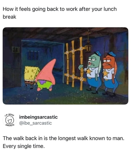 Best Funny lunch Memes - 9GAG