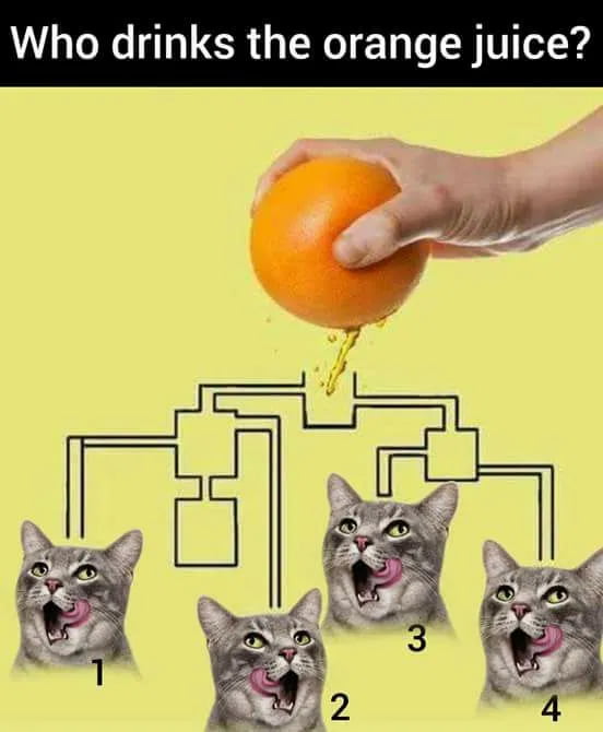 I heard 9GAGers will argue about anything - 9GAG