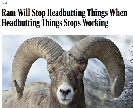 Best Funny ram Memes - 9GAG