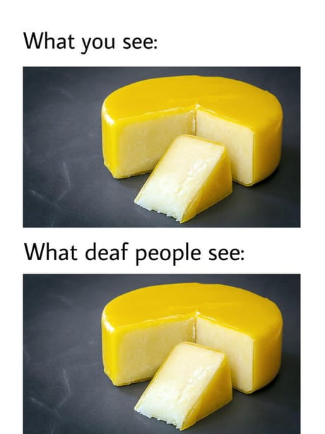 Best Funny cheese Memes - 9GAG
