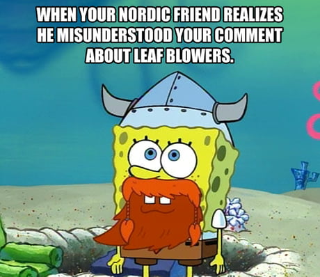 Vikingen Fan Memes