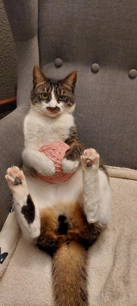 Alyssa Quintero - 9GAG