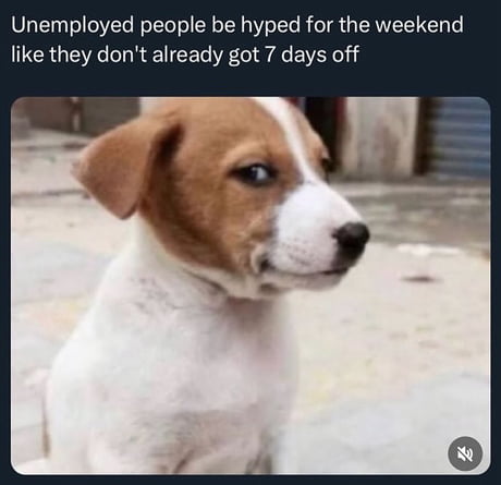 Unemployed Memes Best Collection Of Funny Unemployed Pictures