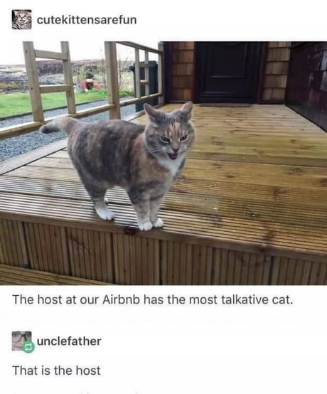 Best Funny airbnb Memes - 9GAG