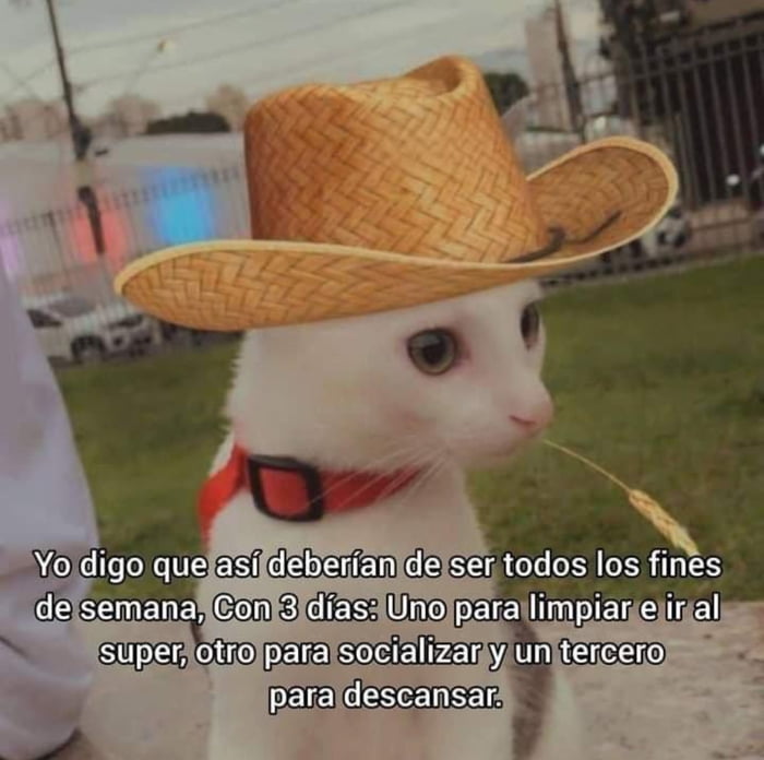 Simón que si homs - 9GAG