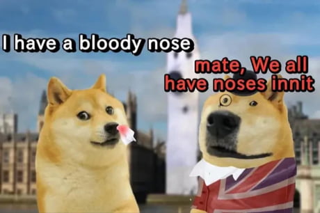 Best Funny doge Memes - 9GAG