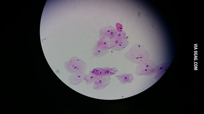 My first Cellfie - 9GAG