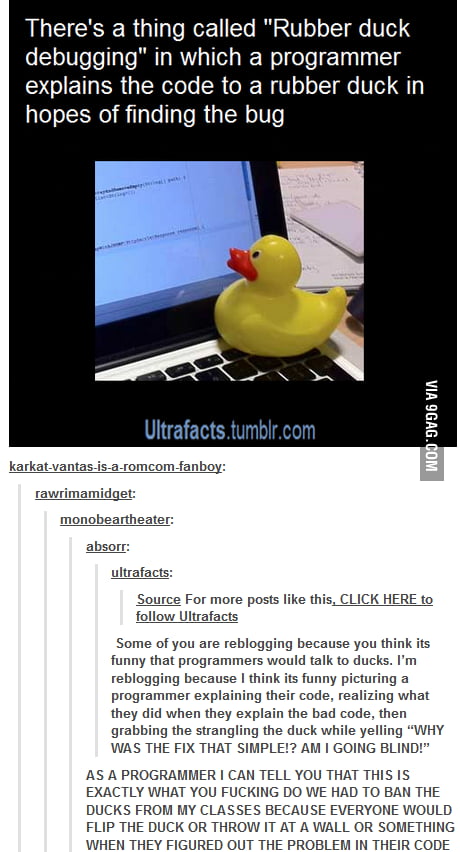 Programming duck. - 9GAG