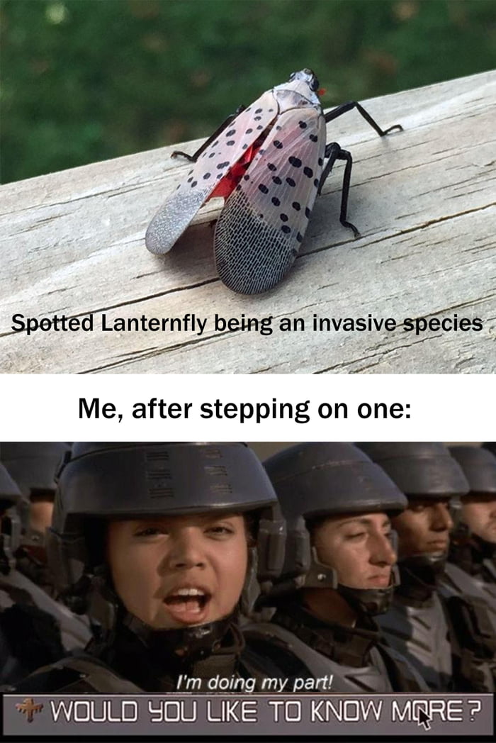 The Only Good Bug Is A Dead Bug - 9GAG