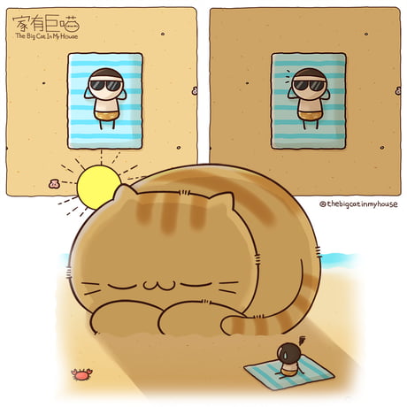 Best Funny sunbathing Memes - 9GAG