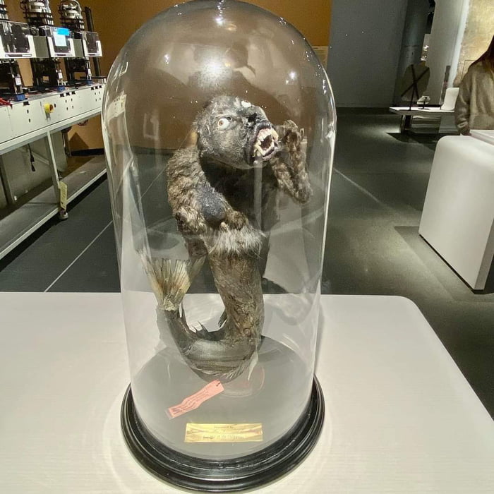 "Mermaid" at MIT Museum of Science donated by the Marcus family (ex ...