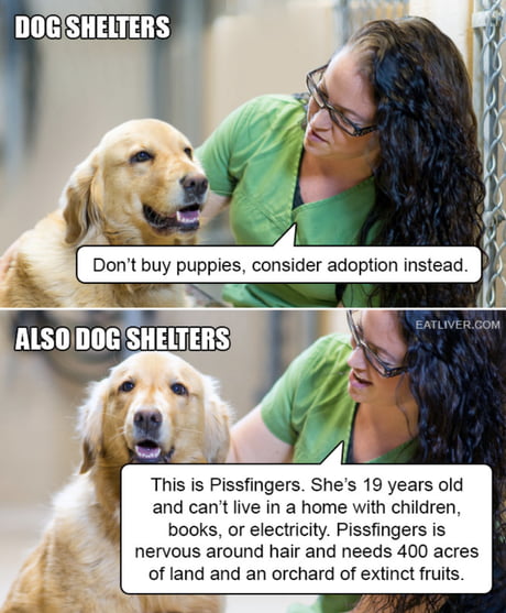 Best Funny adoption Memes - 9GAG
