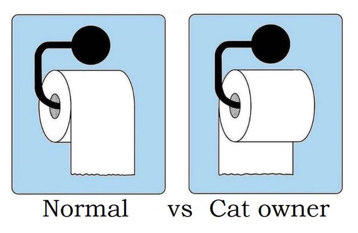 Normal vs. Cat owner - 9GAG