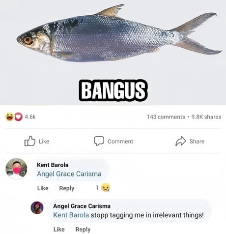 Best Funny pinoy Memes - 9GAG