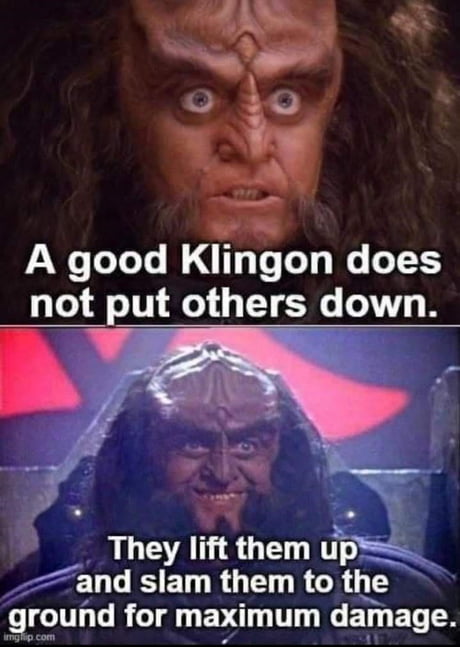 FARK.com: (13146126) *stares in Klingon*