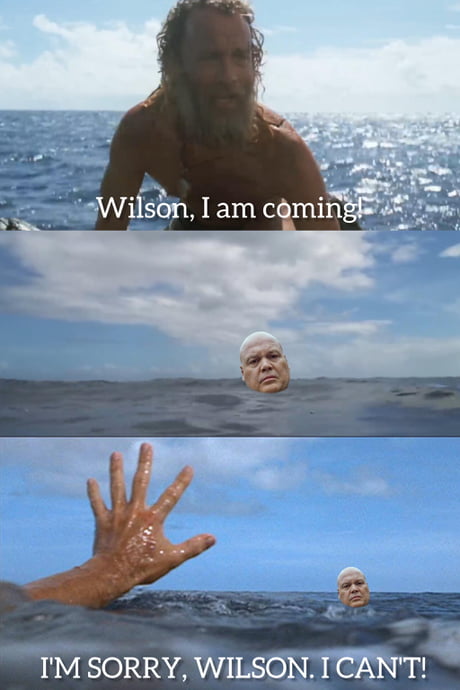 Sorry Wilson Memes