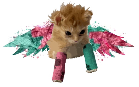 Best Funny tater tot Memes - 9GAG