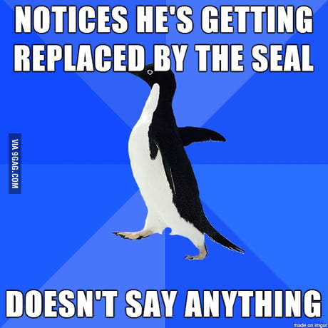 marina cherevach - 9GAG