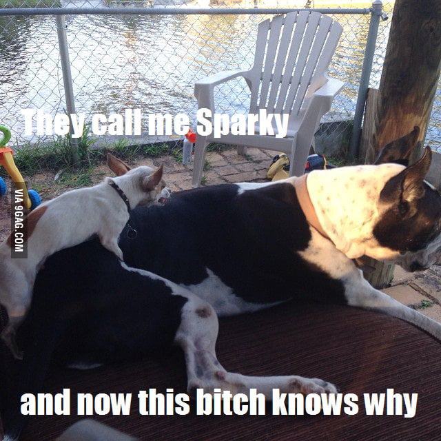 Good things come in small packages - 9GAG