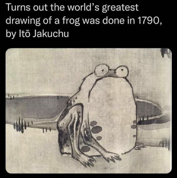Happy hump day you frogs and froggettes - 9GAG