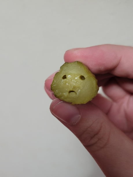 This sad pickle :( - 9GAG