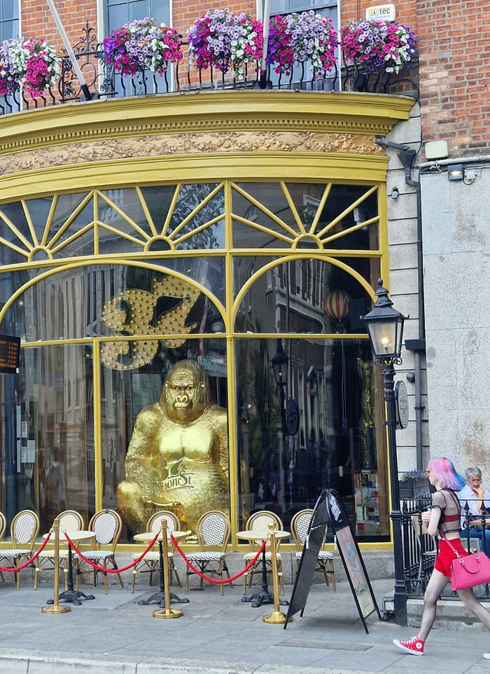 Worship our Lord, the Golden Harambe. - 9GAG