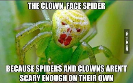 Spider Clown Memes